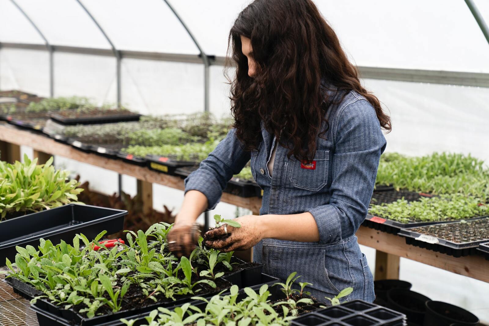 ¿Qué es un ingeniero agrónomo? Requisitos y funciones | Blog GoWork ES ¿Qué es un ingeniero agrónomo? Requisitos y funciones | Blog GoWork ES