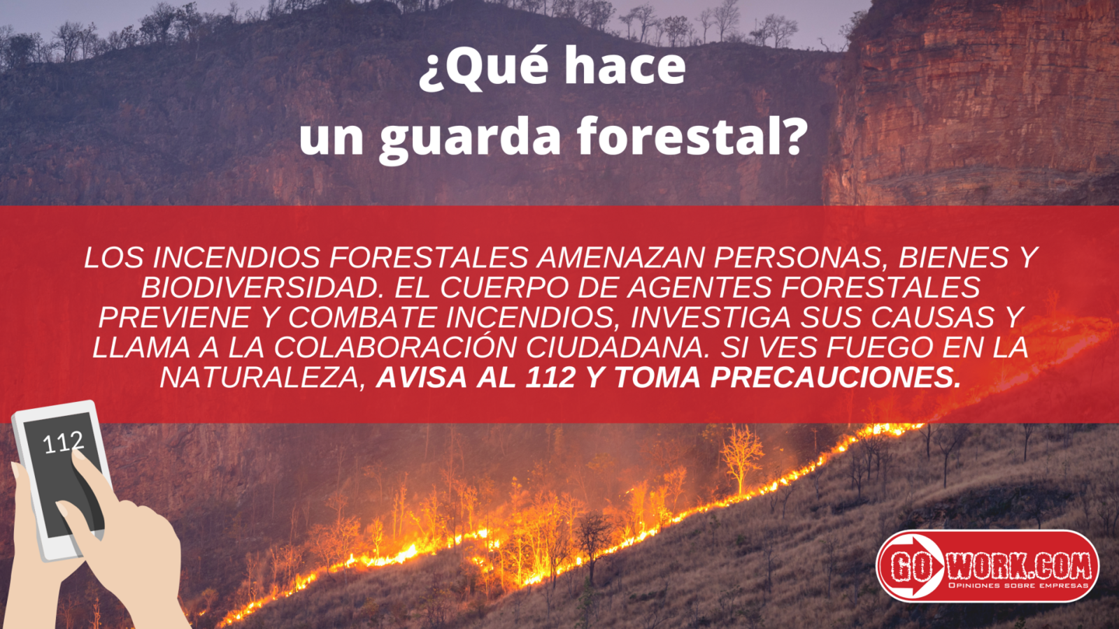 Guarda forestal requisitos ¡Conoce su trabajo! | Blog GoWork ES