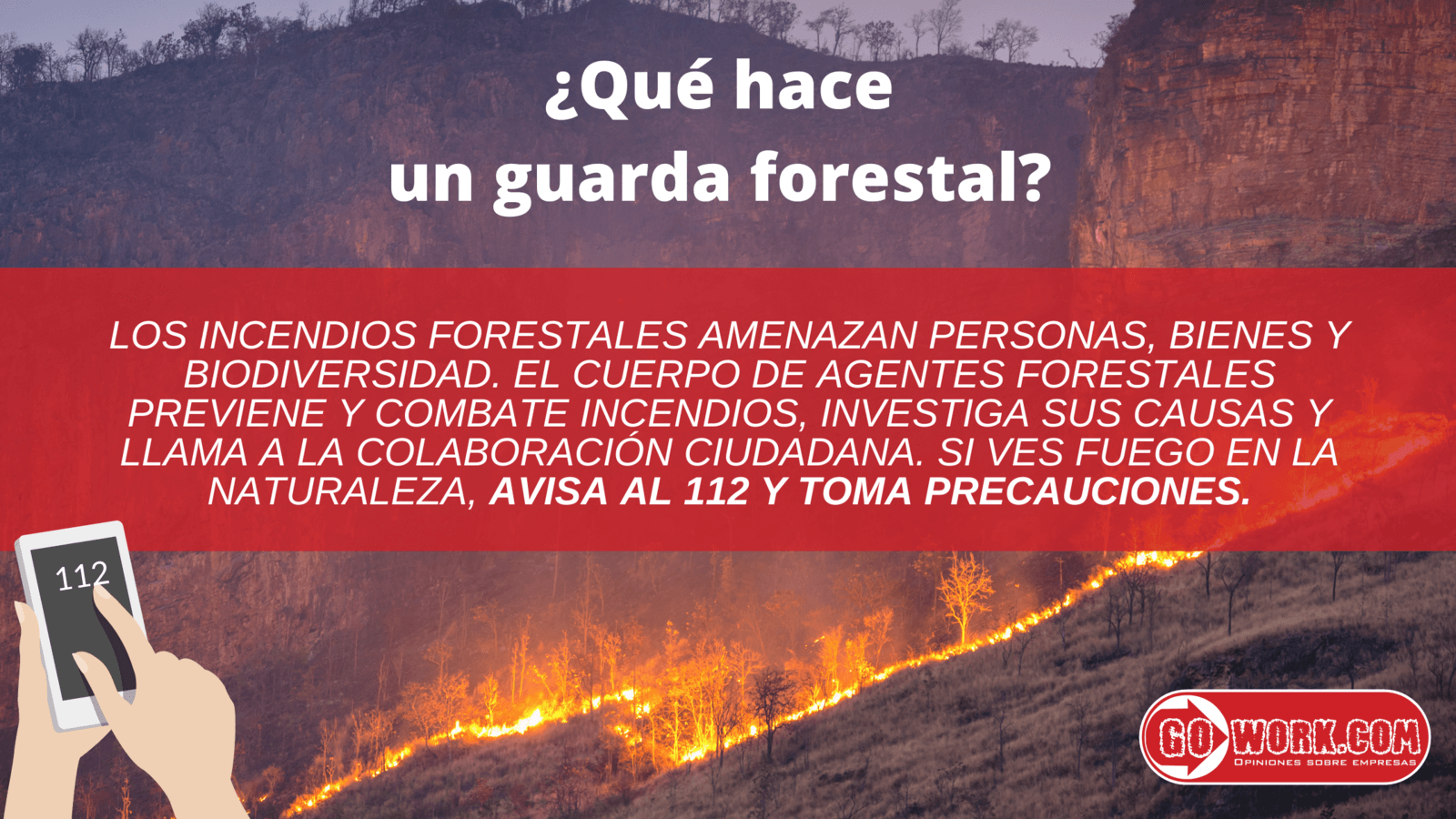 Guarda forestal requisitos ¡Conoce su trabajo! | Blog GoWork ES